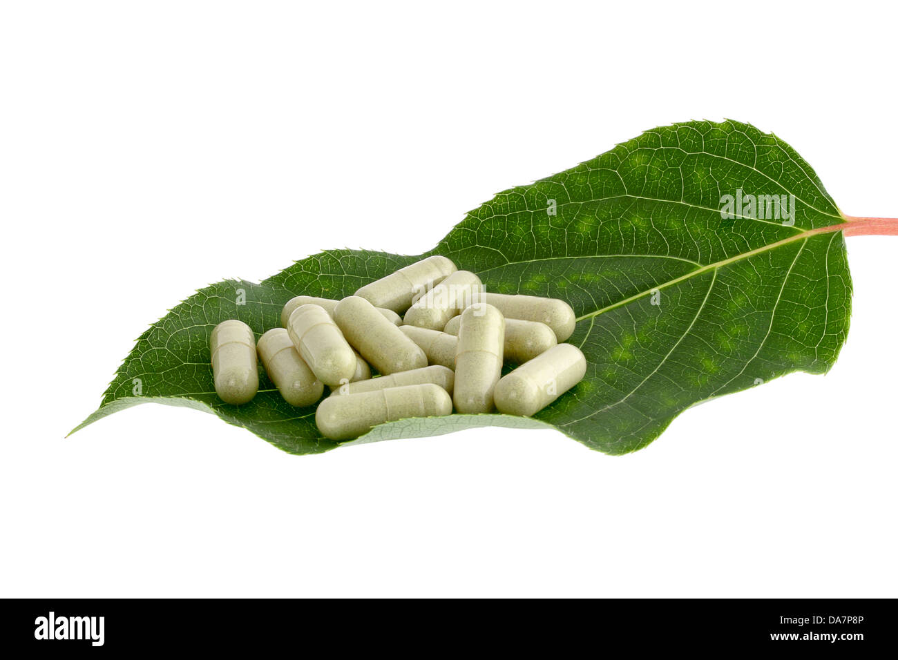 Pills on green leaf isolated on white background Stock Photo - Alamy