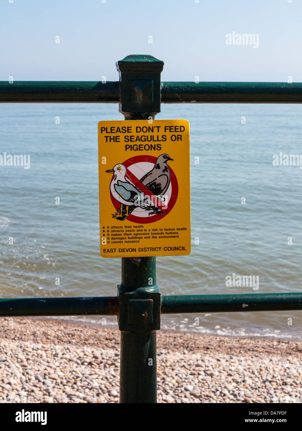 Seagull warning sign hi-res stock photography and images - Alamy