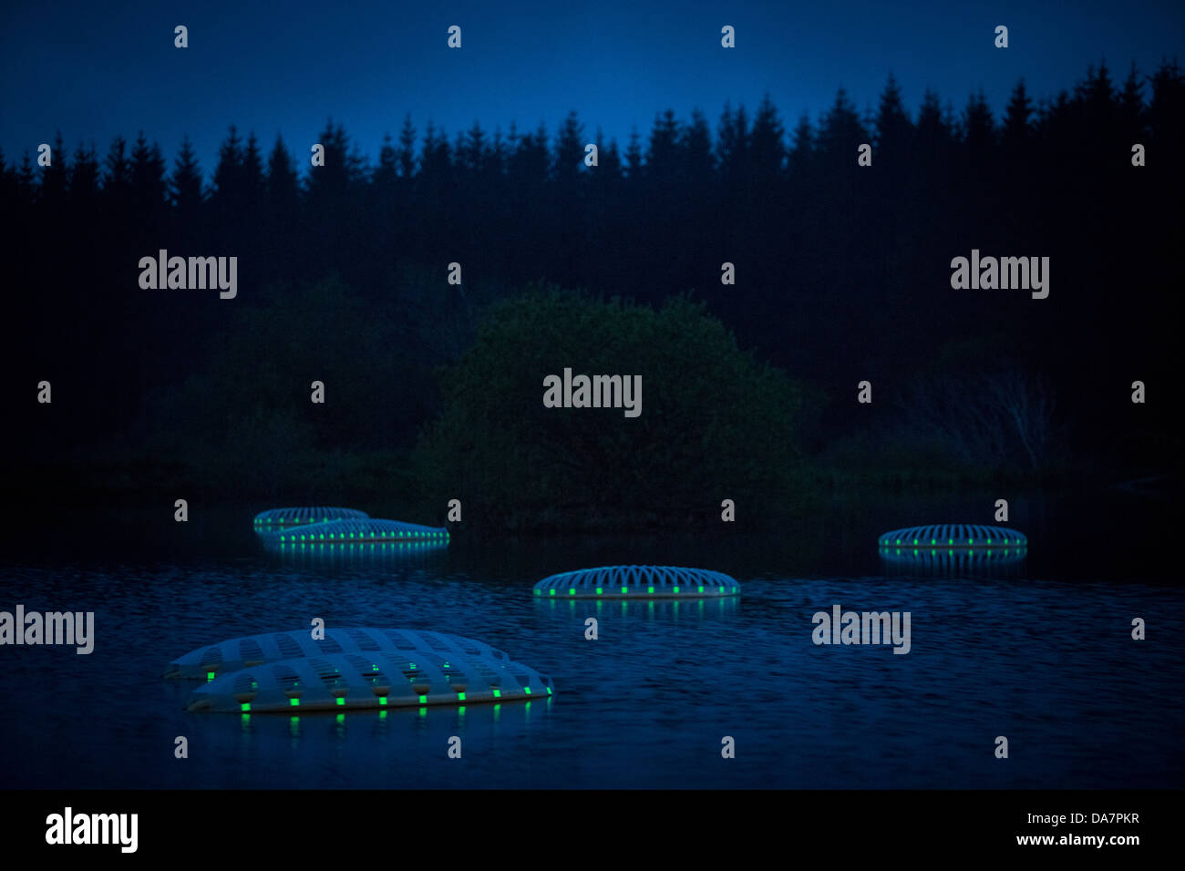 The Land Art work called Mégascospic Diatoms, made by Prisca Cosnier. A ...