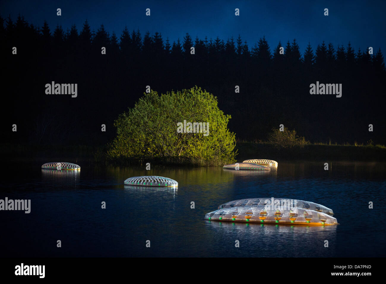 Diatoms hi-res stock photography and images - Alamy