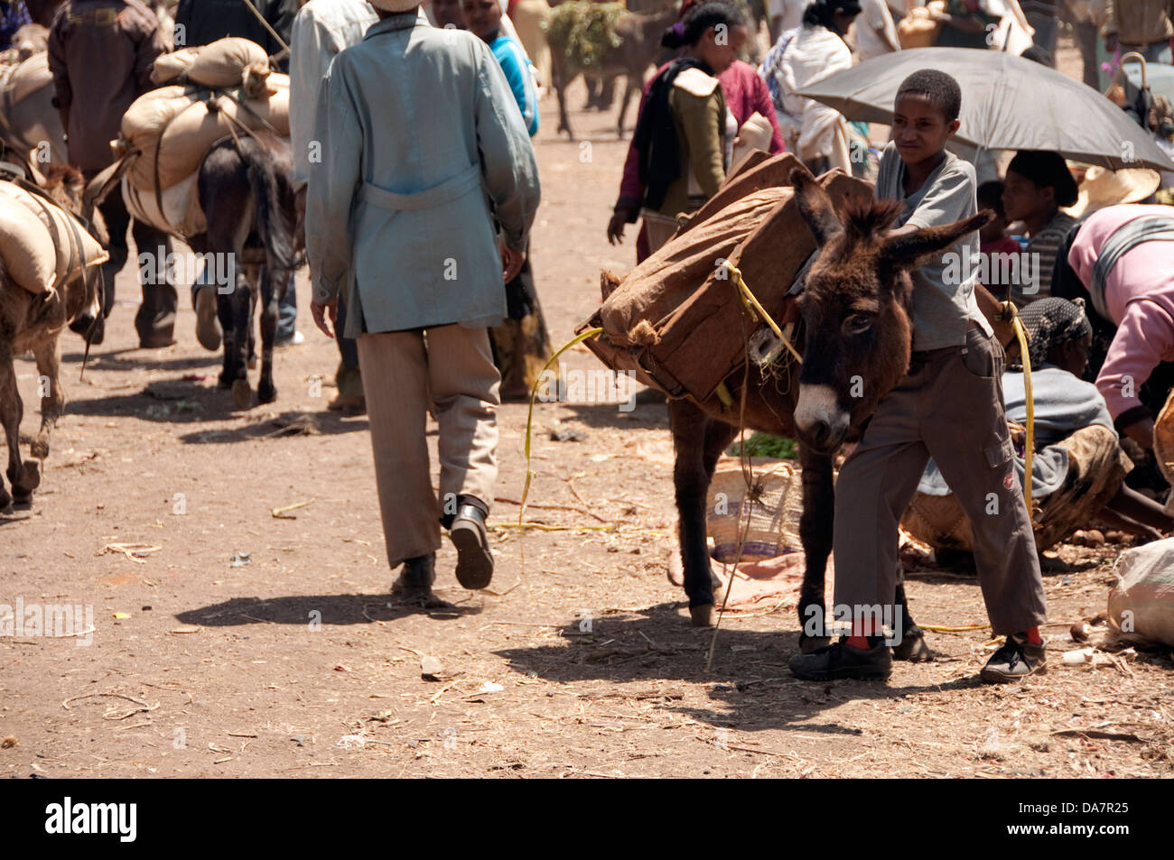 A boy with a donkey at Waliso market, Ethiopia Stock Photo - Alamy