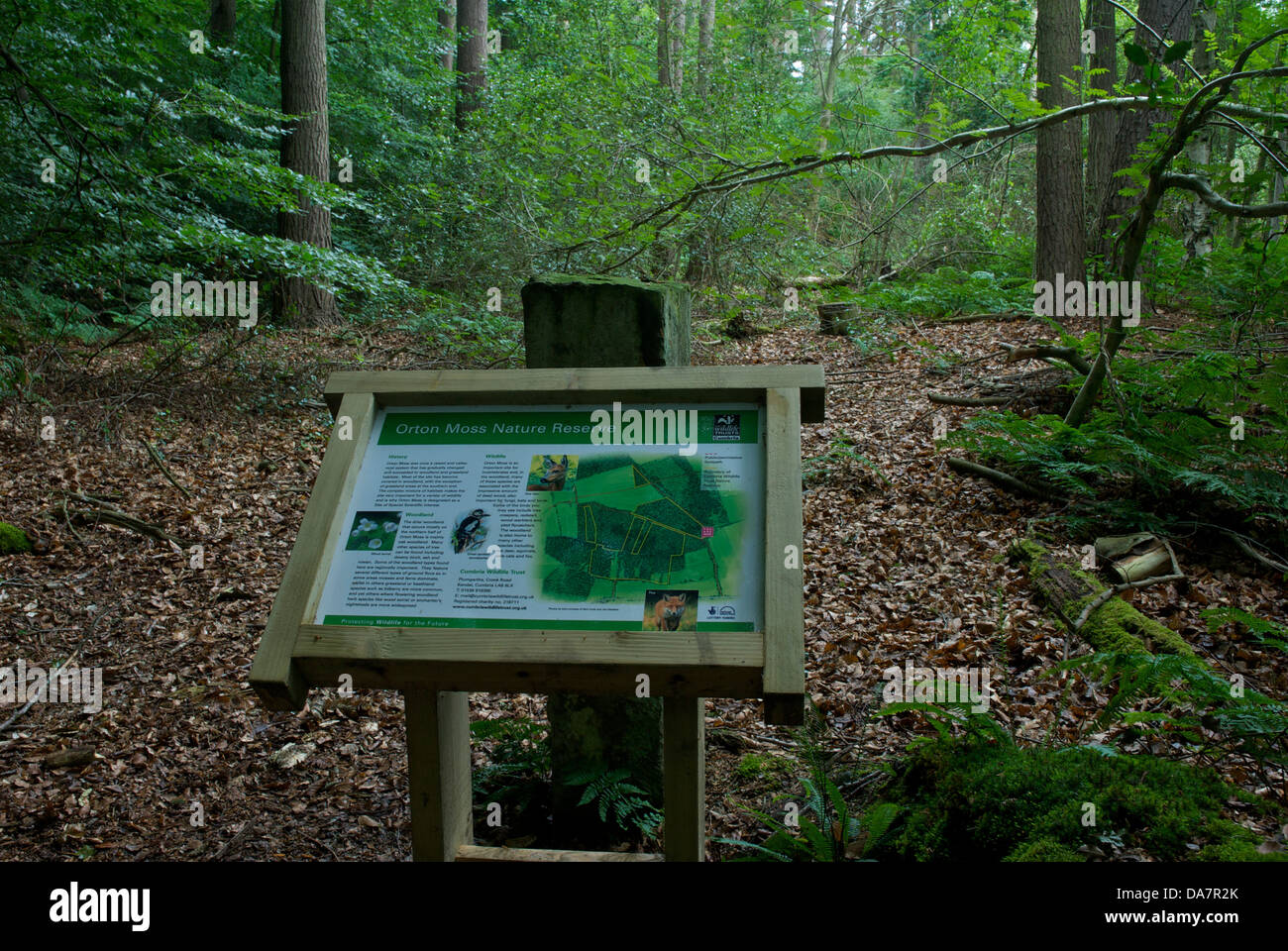 Information panel at Orton Moss, a Cumbria Wildlife Trust nature ...