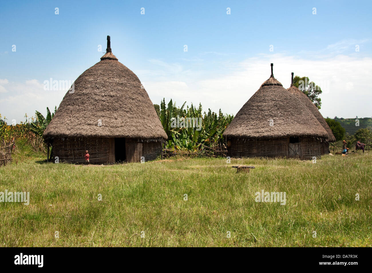 Gurage people typical dwellings, Ethiopia Stock Photo - Alamy