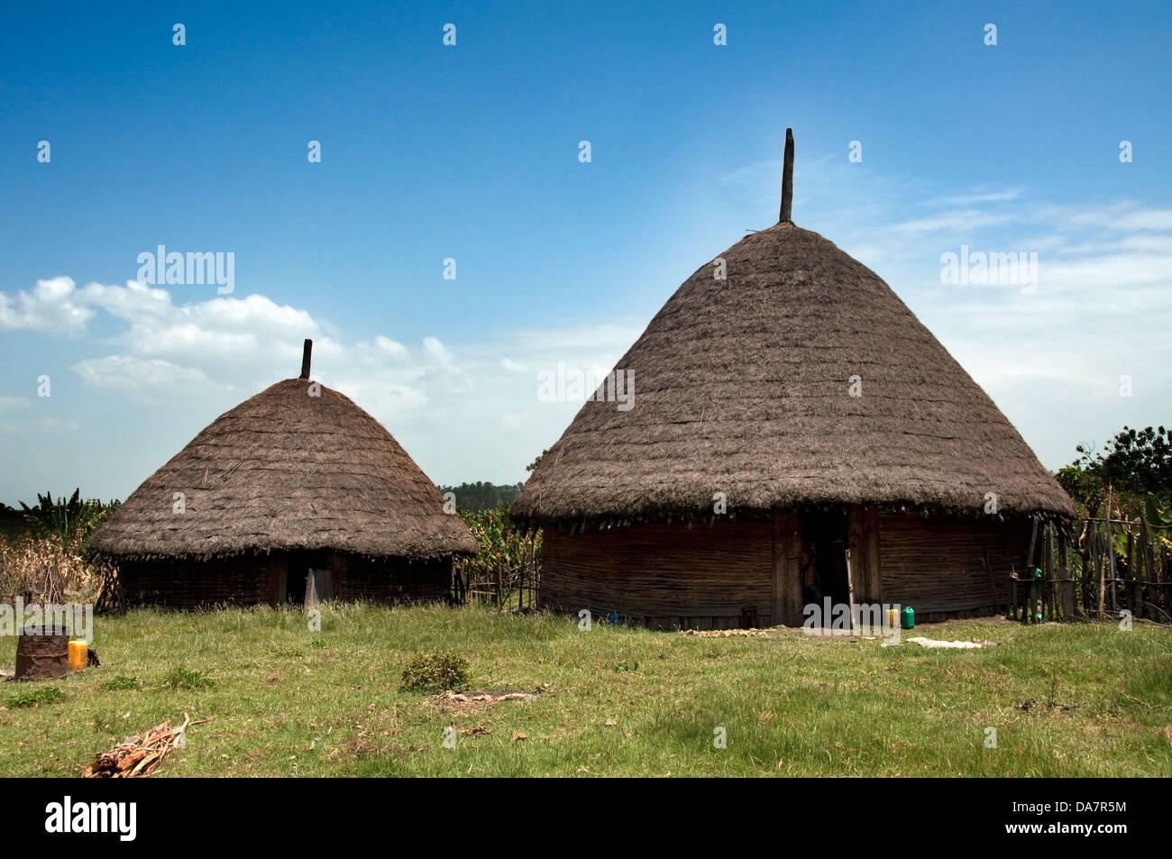 Gurage people typical dwellings, Ethiopia Stock Photo - Alamy