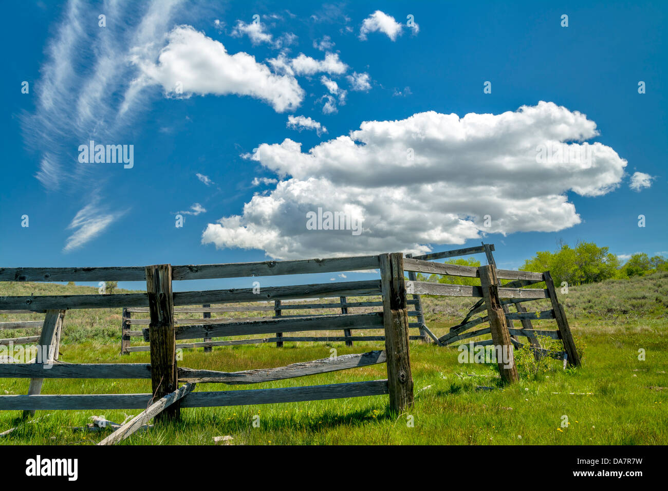 Old farm horse corral weathered and broken Stock Photo - Alamy