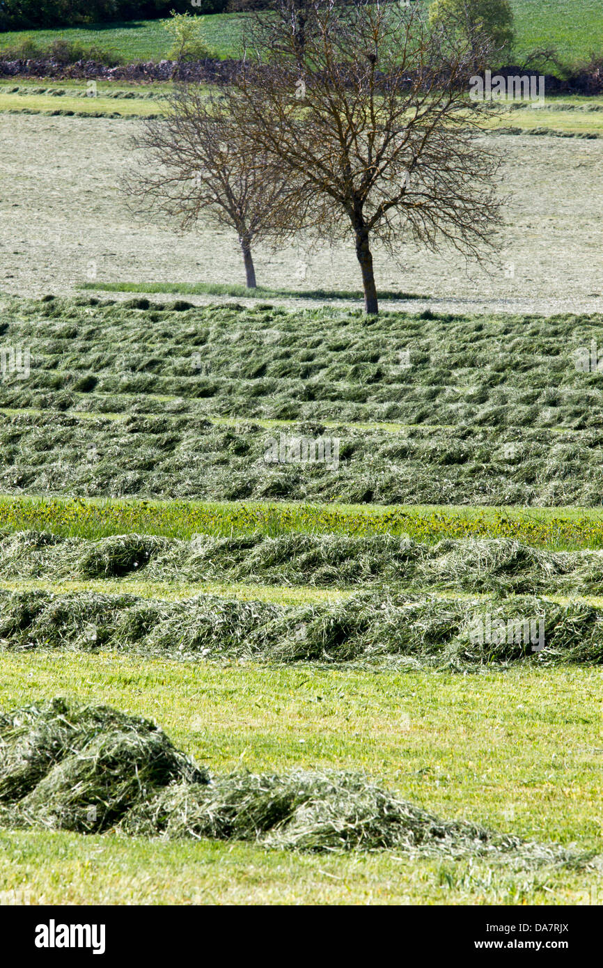 Farming pasture hi-res stock photography and images - Alamy