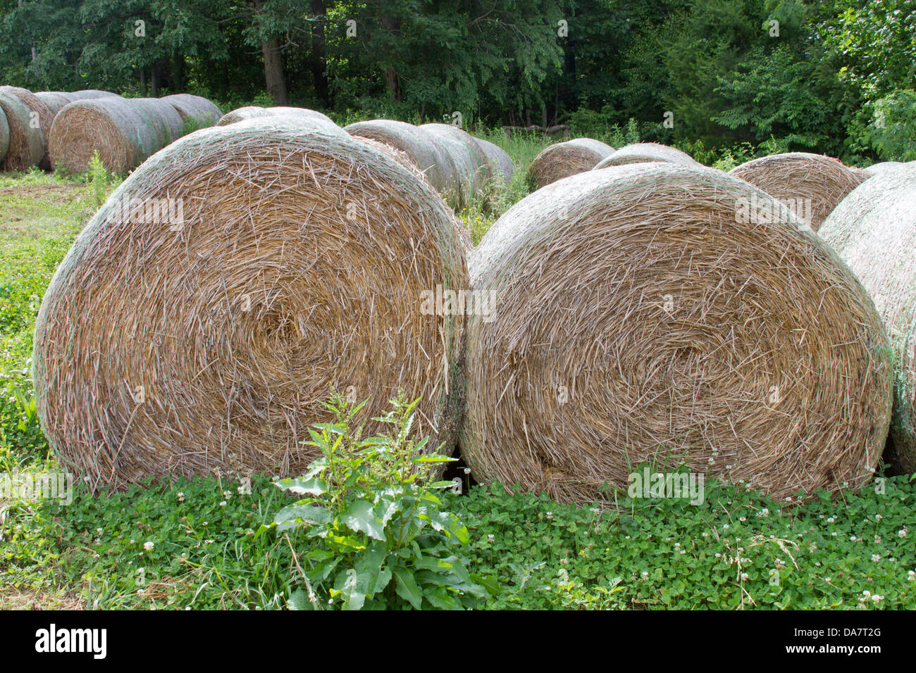 Farm work hay hi-res stock photography and images - Alamy