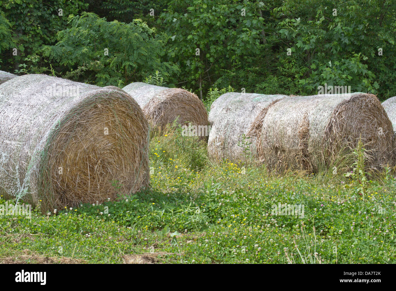 Nets in field hi-res stock photography and images - Alamy