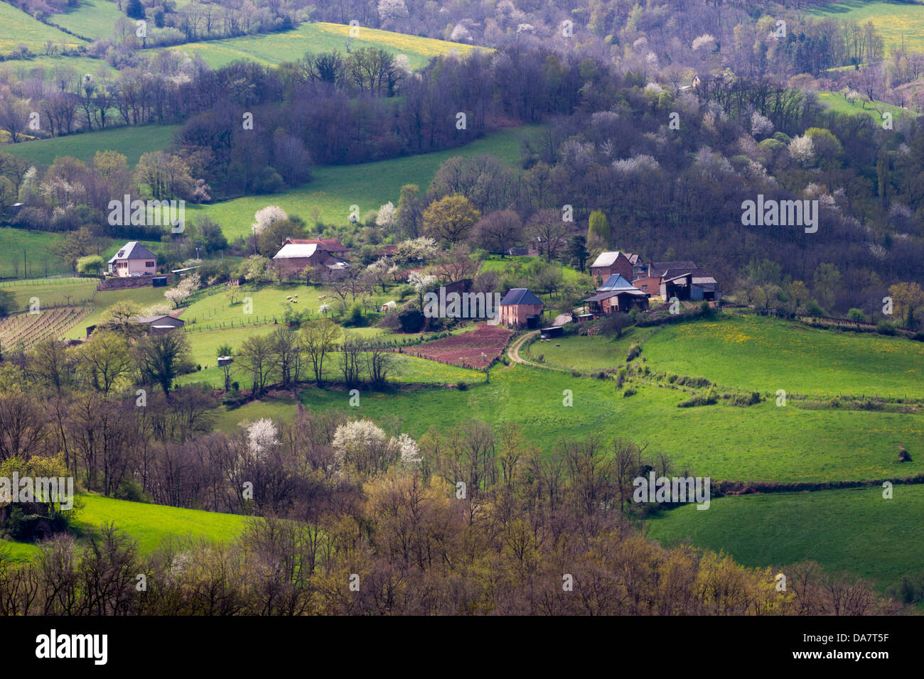 Bucolic landscape with hilly pastures and farmhouses in Midi-Pyrenees ...