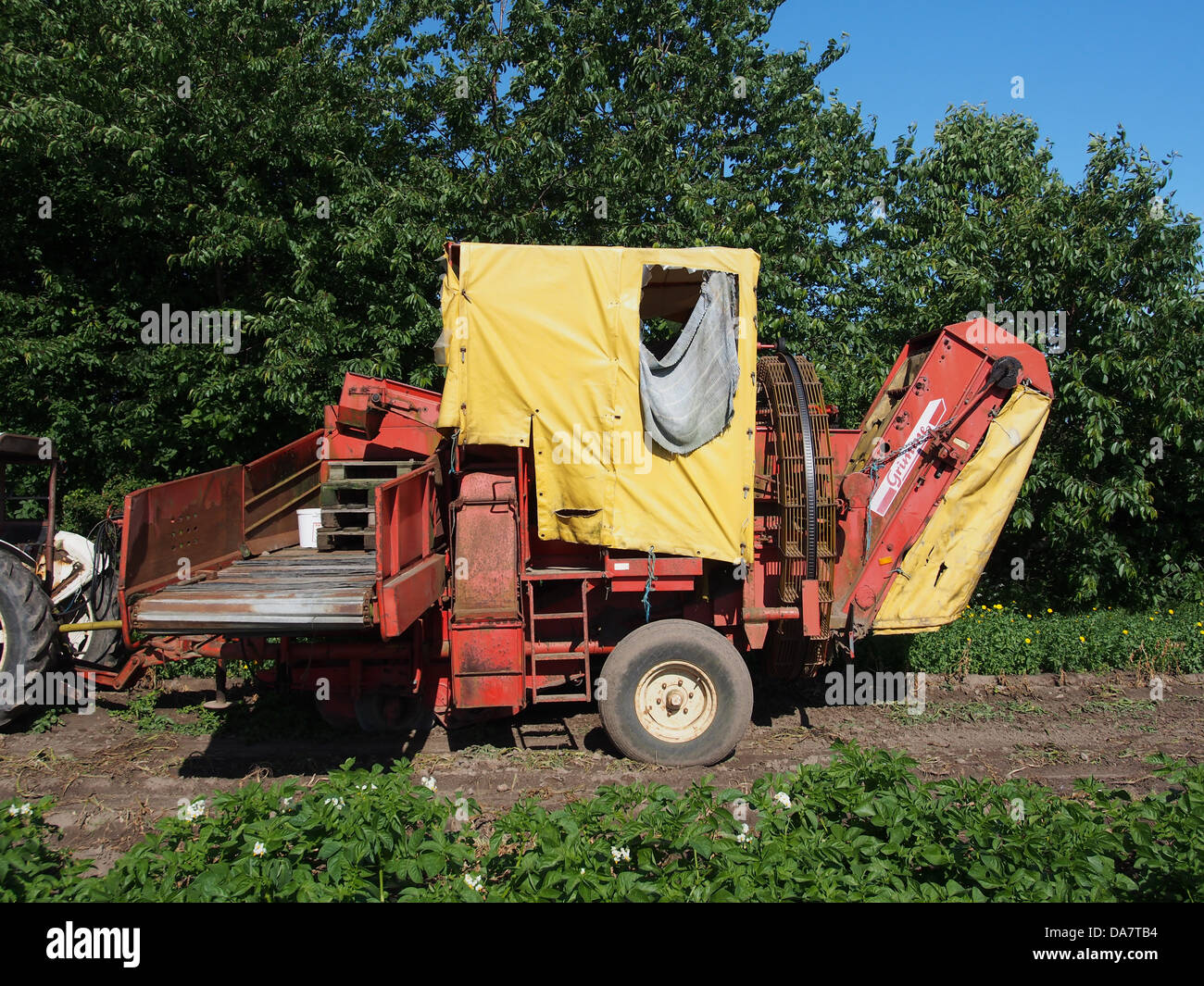 Grimme Matador 3113 is a vintage tractor known for its durable ...