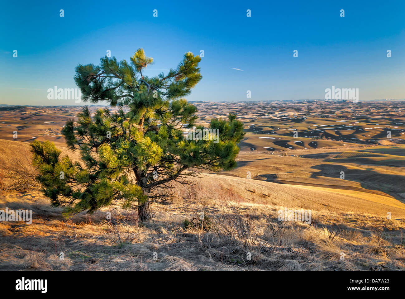 Rolling wheat fields hi-res stock photography and images - Alamy