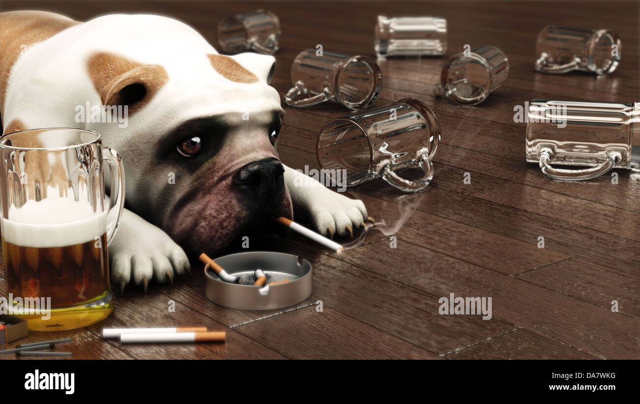 Drunk dog hi-res stock photography and images - Alamy