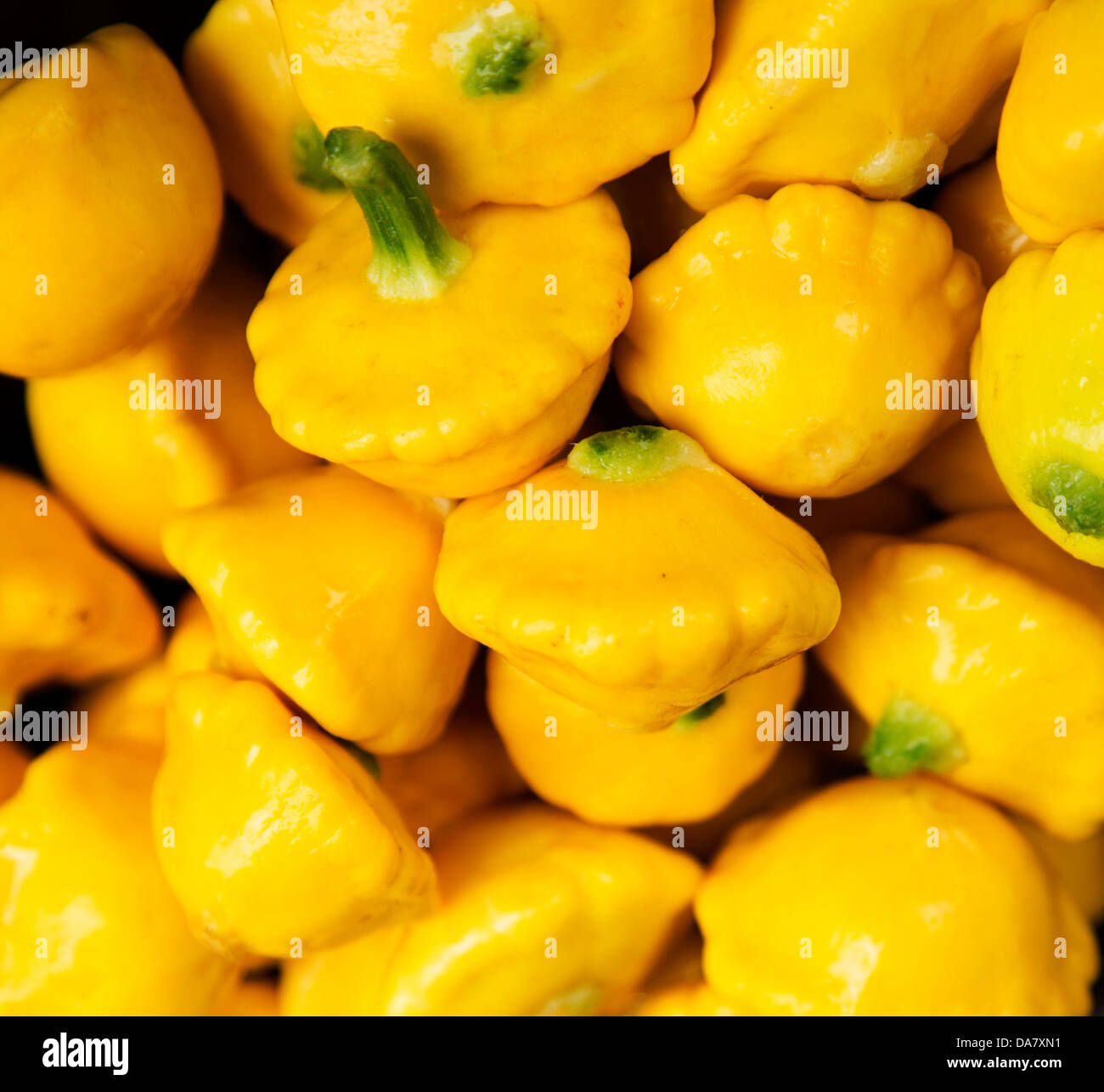 Yellow mini squash Stock Photo - Alamy