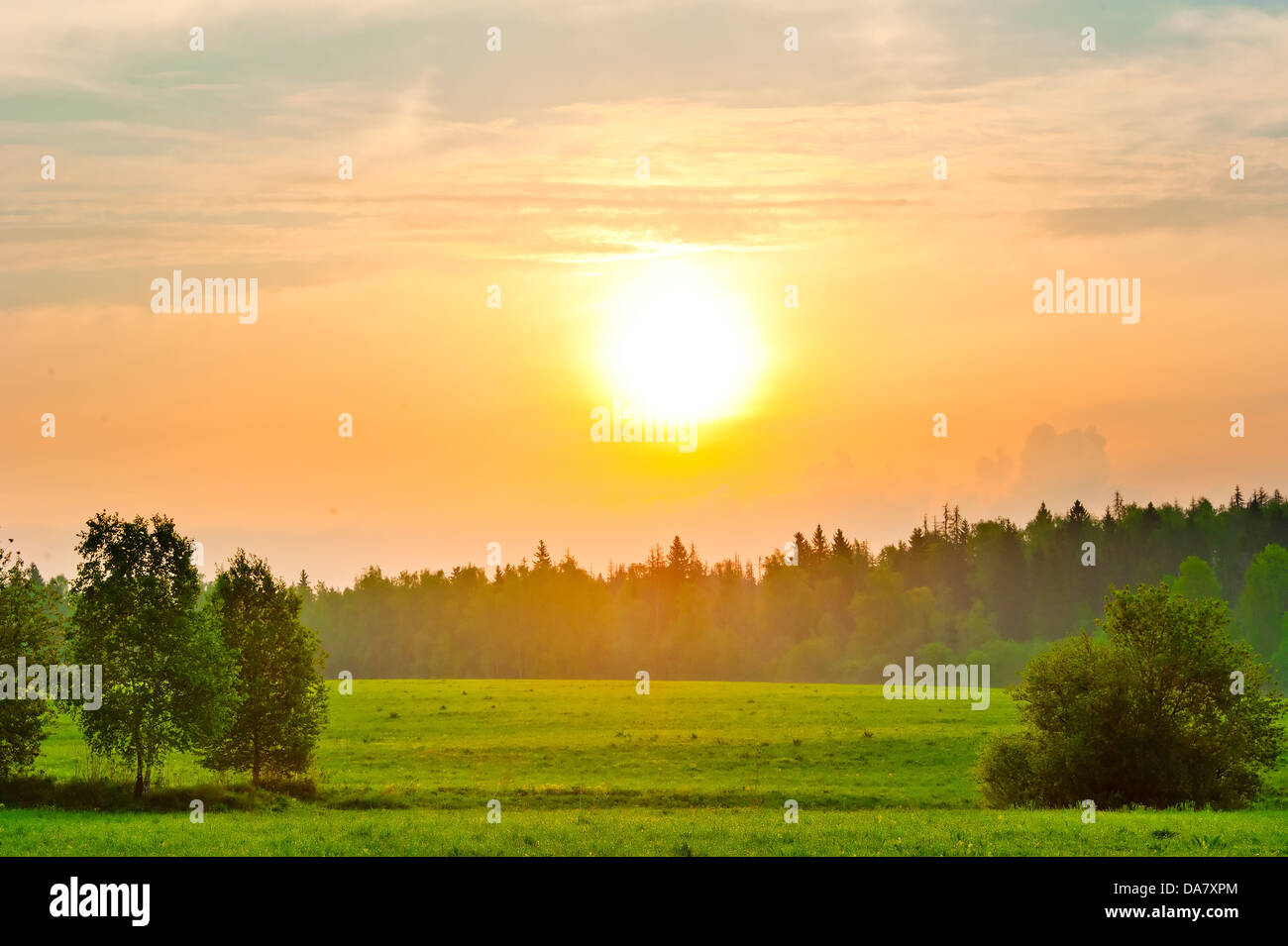 sunrise on a hot day over the summer forest Stock Photo - Alamy