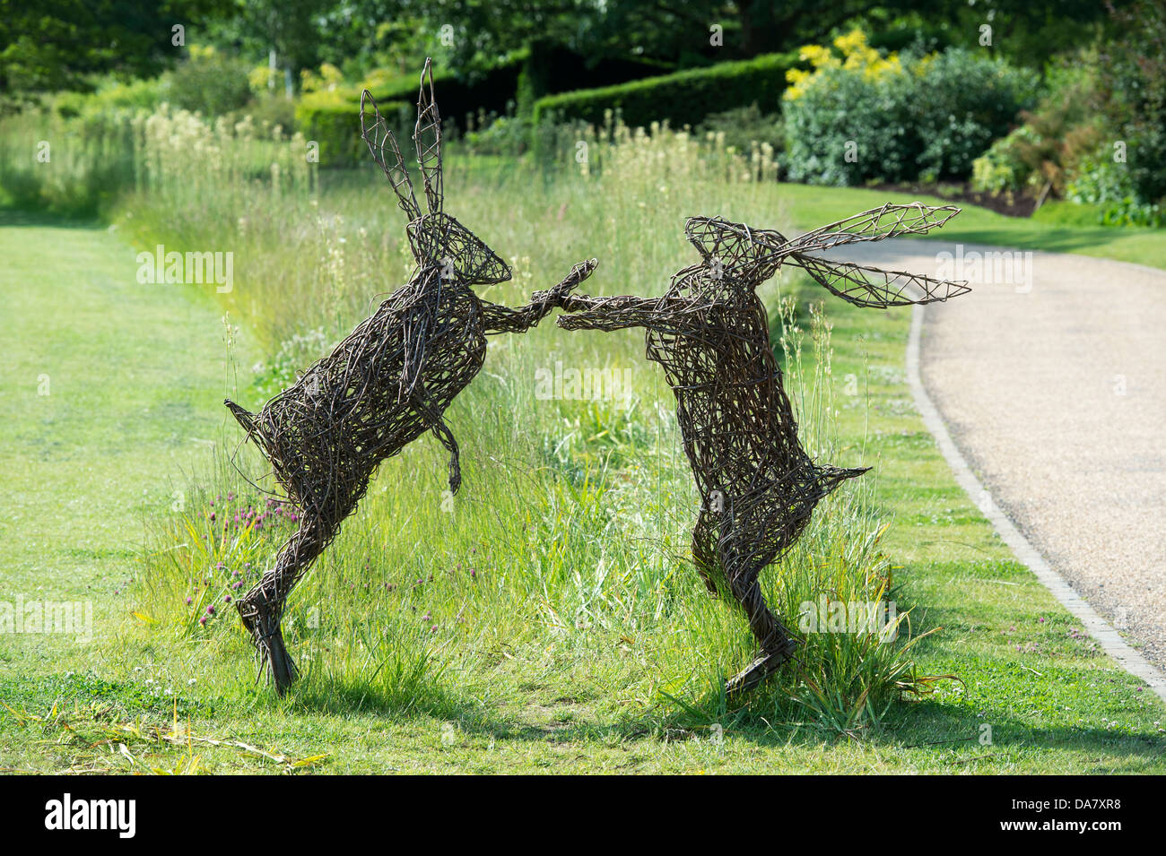 Wicker sculpture of hares boxing at RHS Harlow Carr, Harrogate, England ...