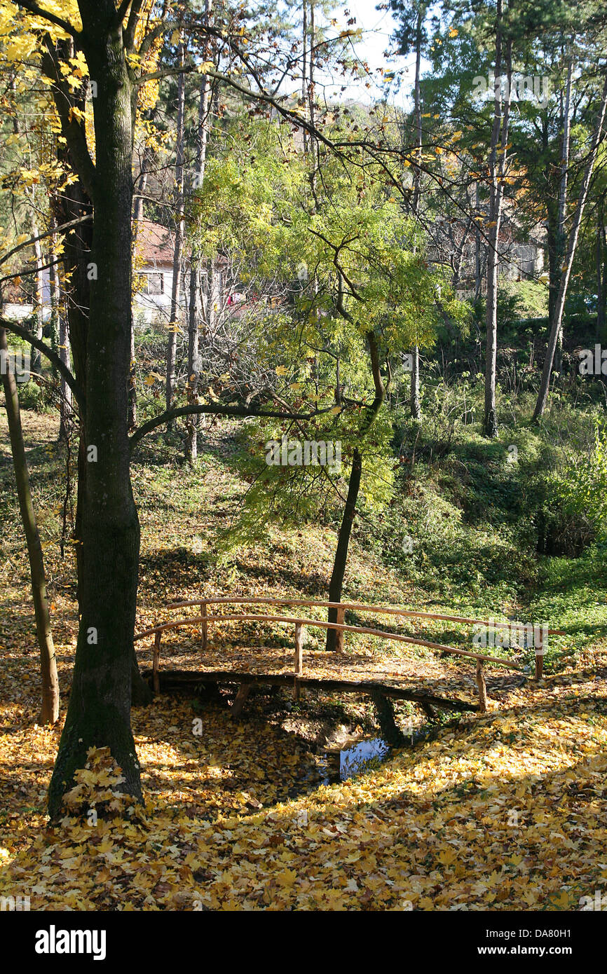 Beautiful nature in fall colors Stock Photo - Alamy