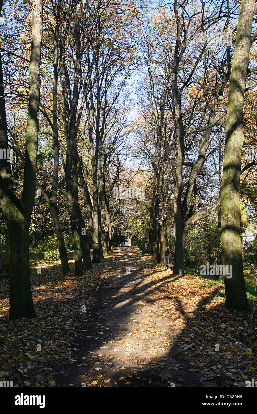 Beautiful nature in fall colors Stock Photo - Alamy