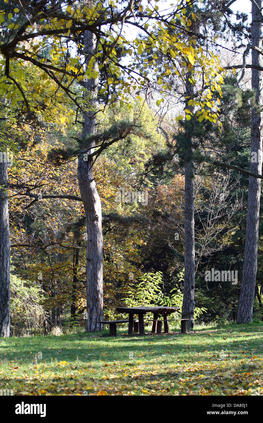 Beautiful nature in fall colors Stock Photo - Alamy