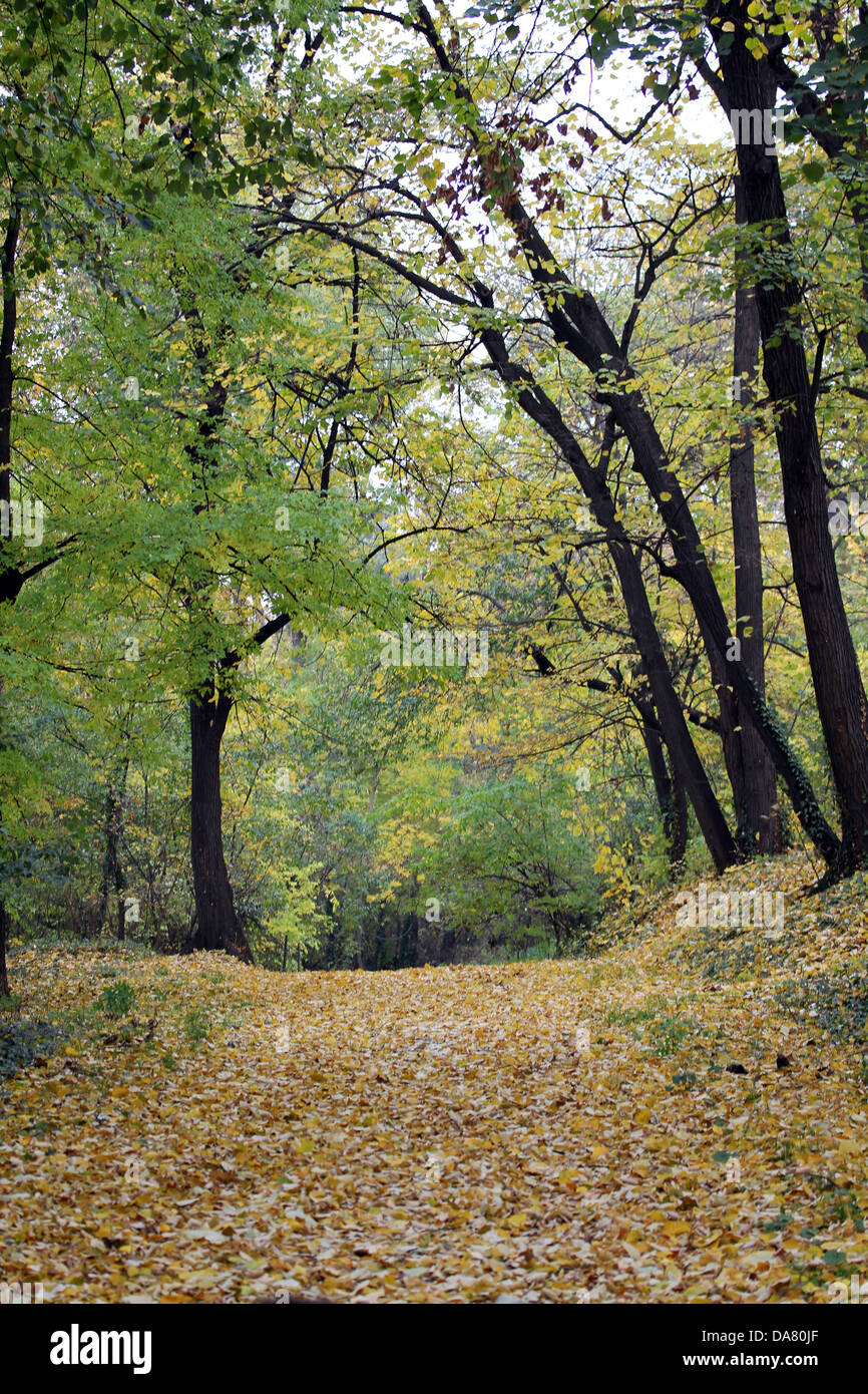 Beautiful nature in fall colors Stock Photo - Alamy