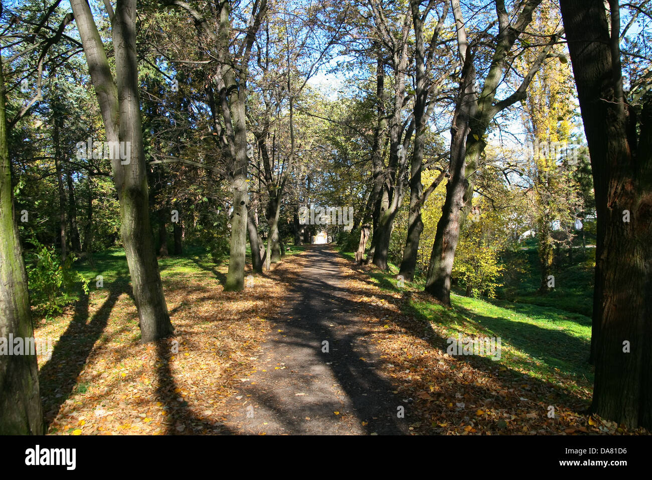 Beautiful nature in fall colors Stock Photo - Alamy