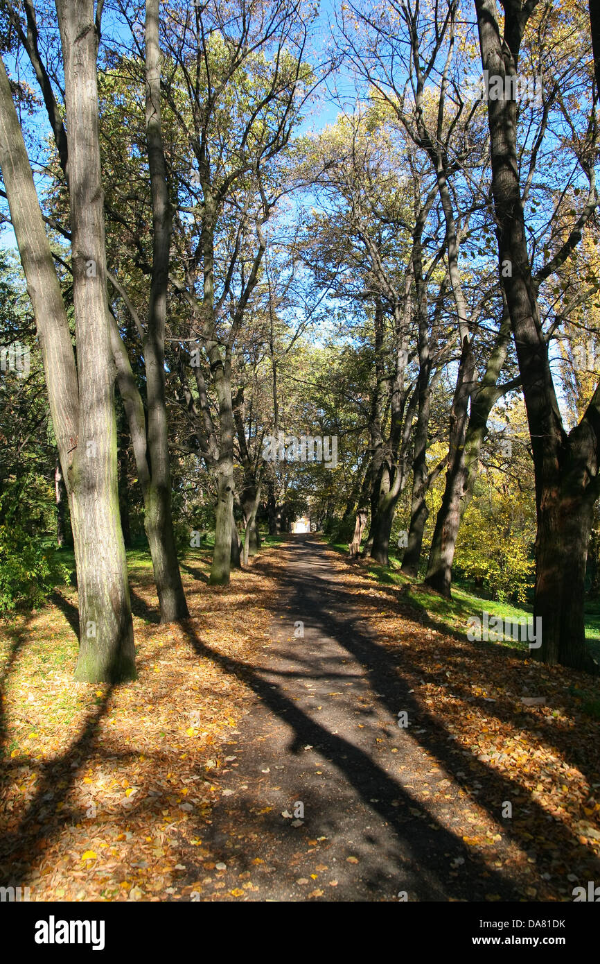Beautiful nature in fall colors Stock Photo - Alamy