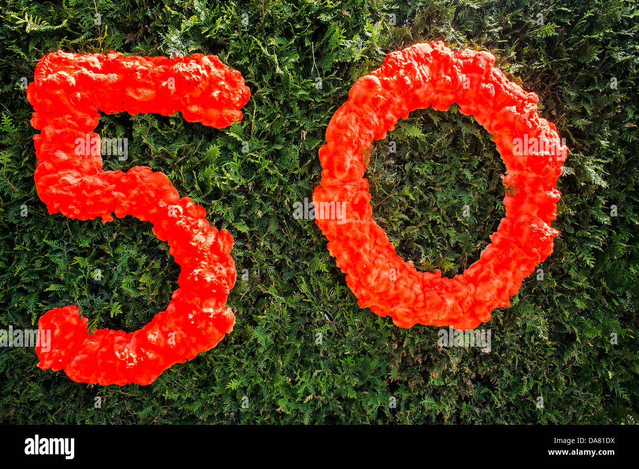 Fifty 50 years anniversary hi-res stock photography and images - Alamy