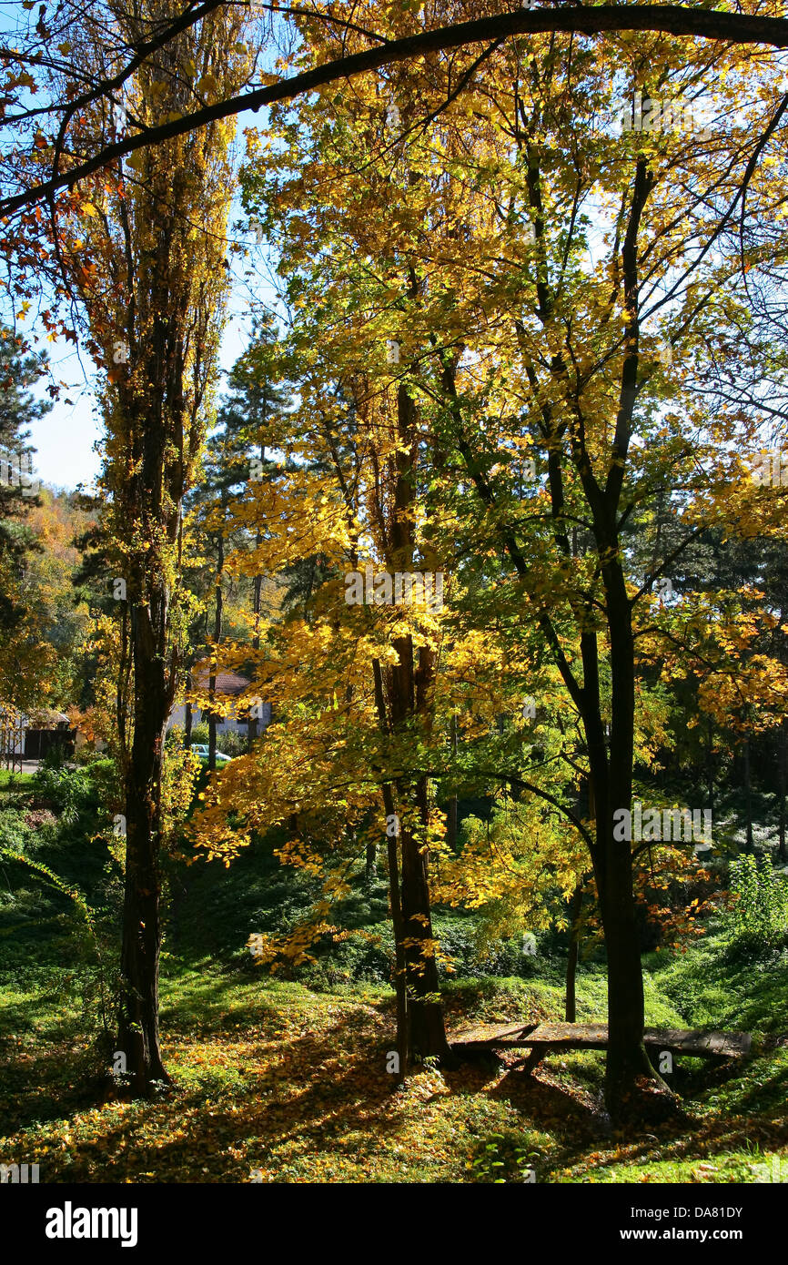 Beautiful nature in fall colors Stock Photo - Alamy