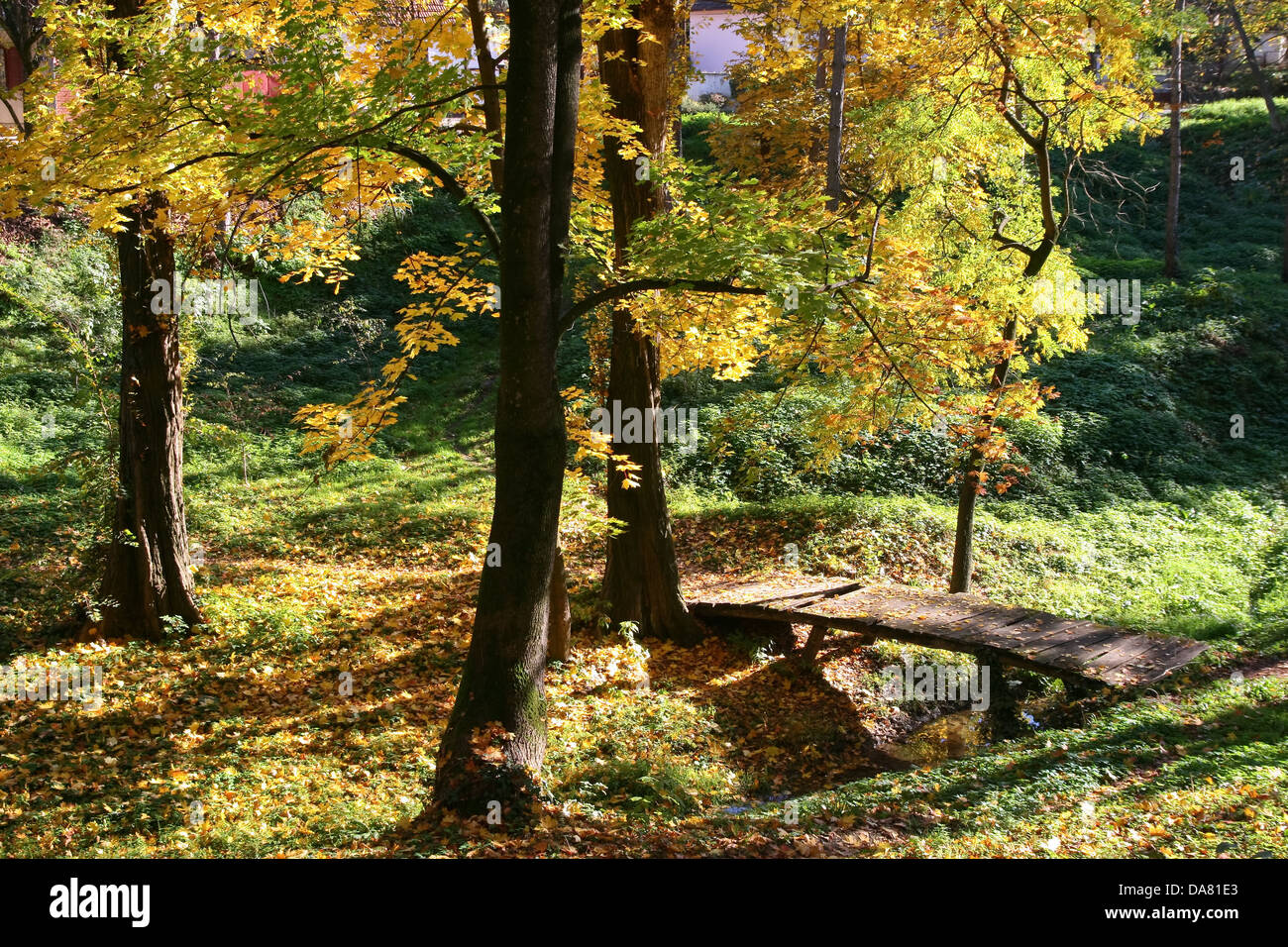 Beautiful nature in fall colors Stock Photo - Alamy