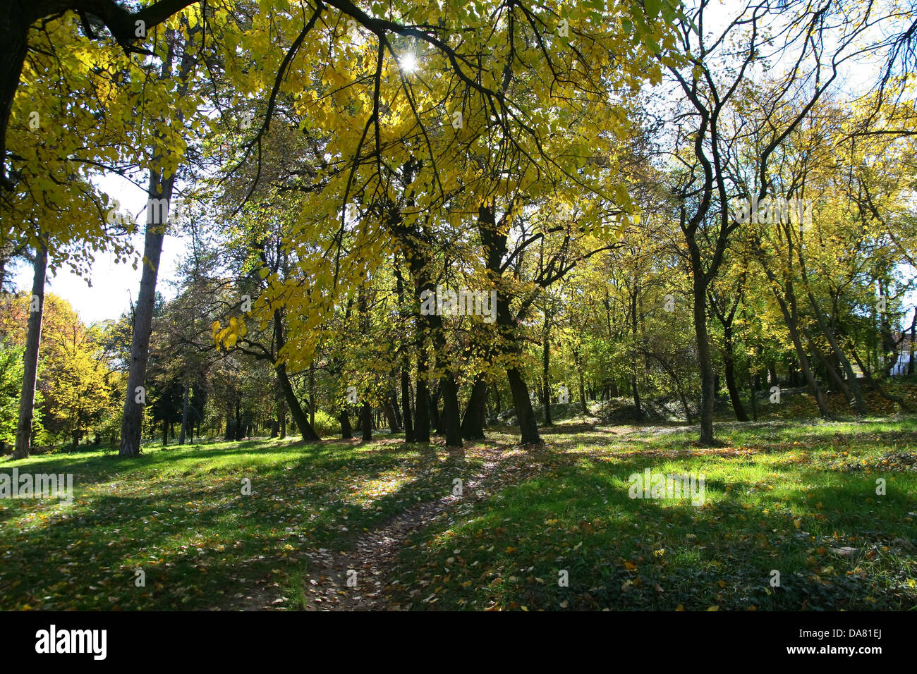 Beautiful nature in fall colors Stock Photo - Alamy