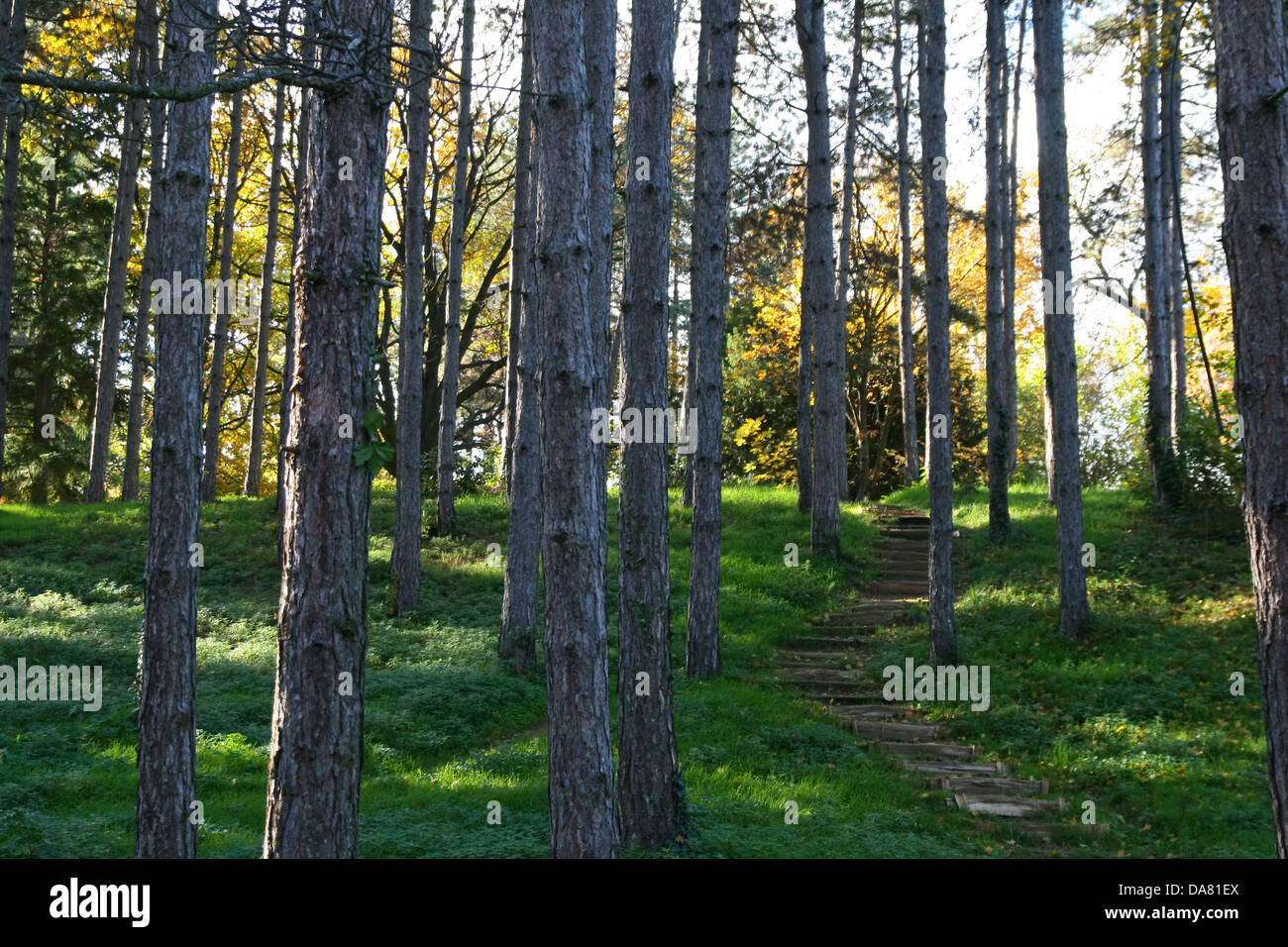 Beautiful nature in fall colors Stock Photo - Alamy