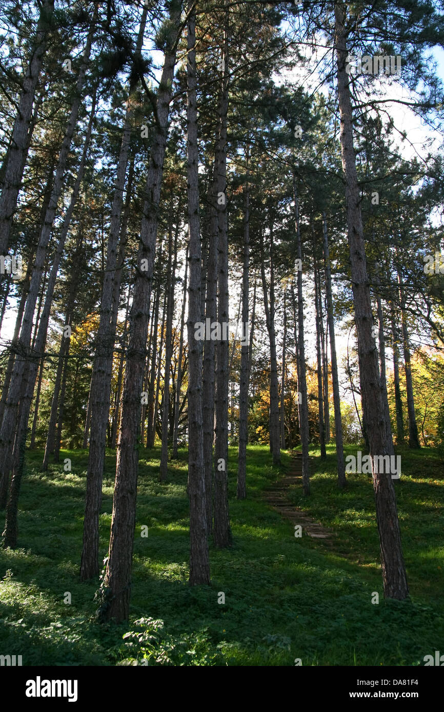 Beautiful nature in fall colors Stock Photo - Alamy