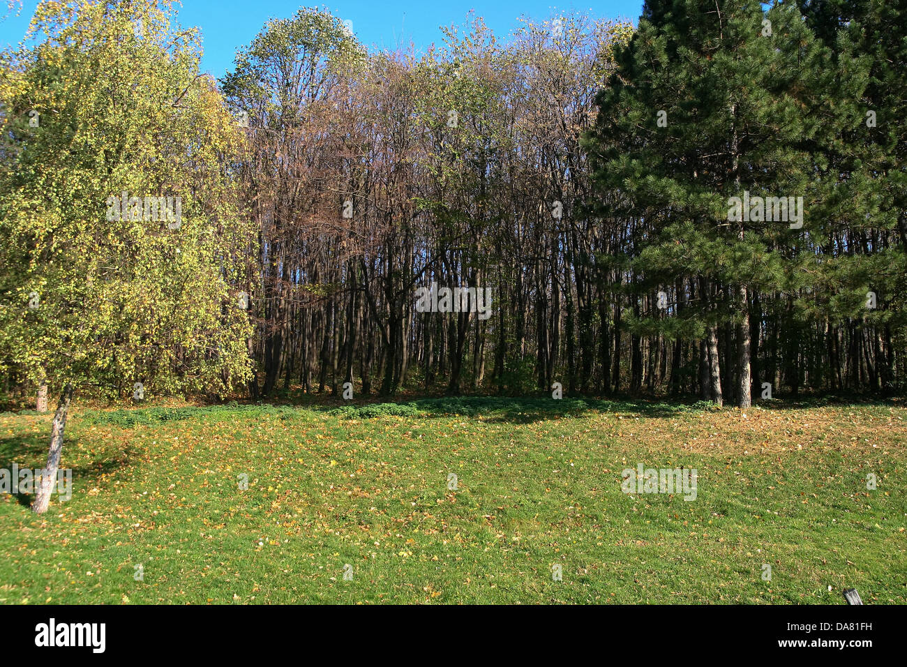 Beautiful nature in fall colors Stock Photo - Alamy
