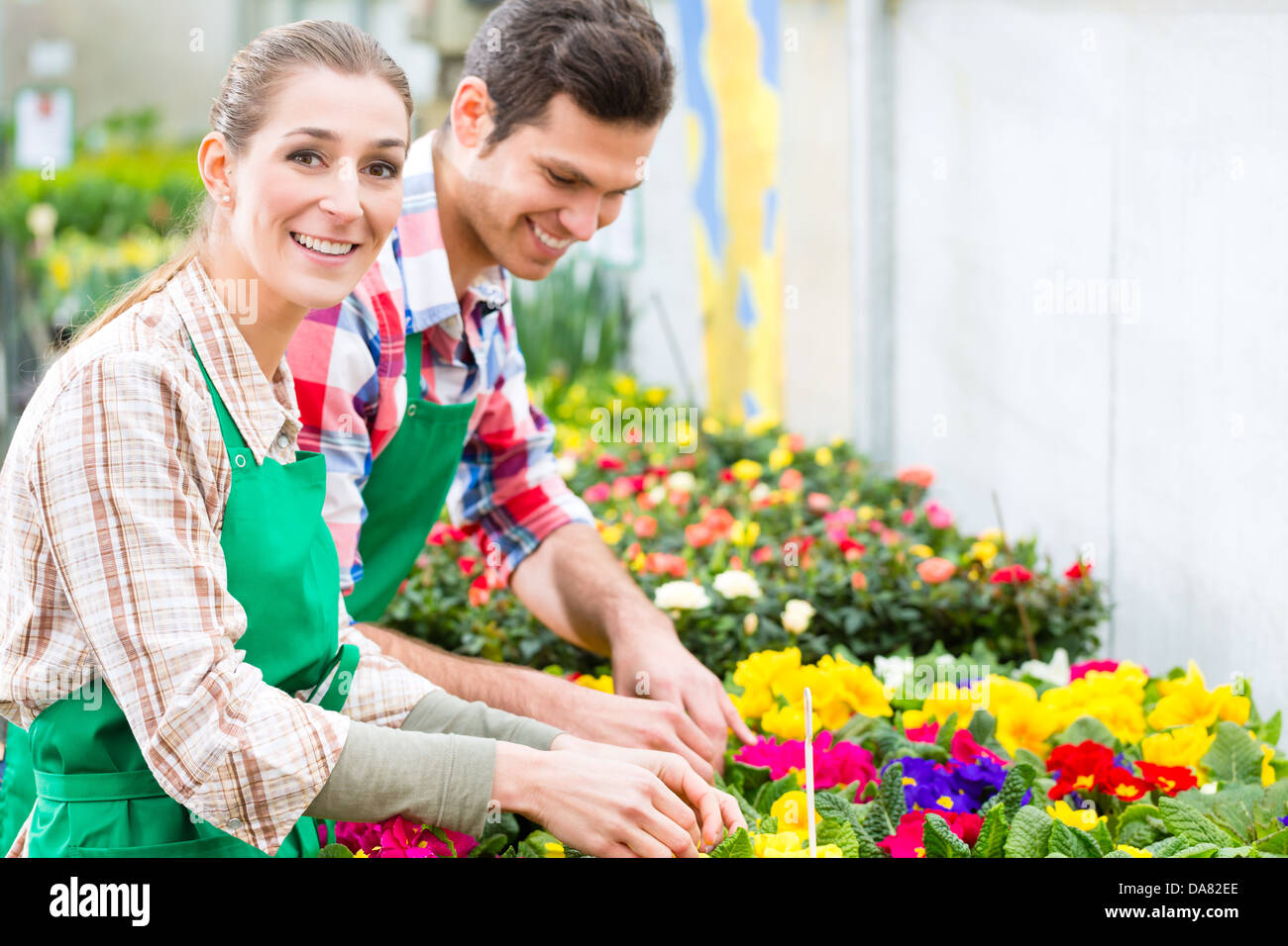 Gardeners gardening hi-res stock photography and images - Alamy