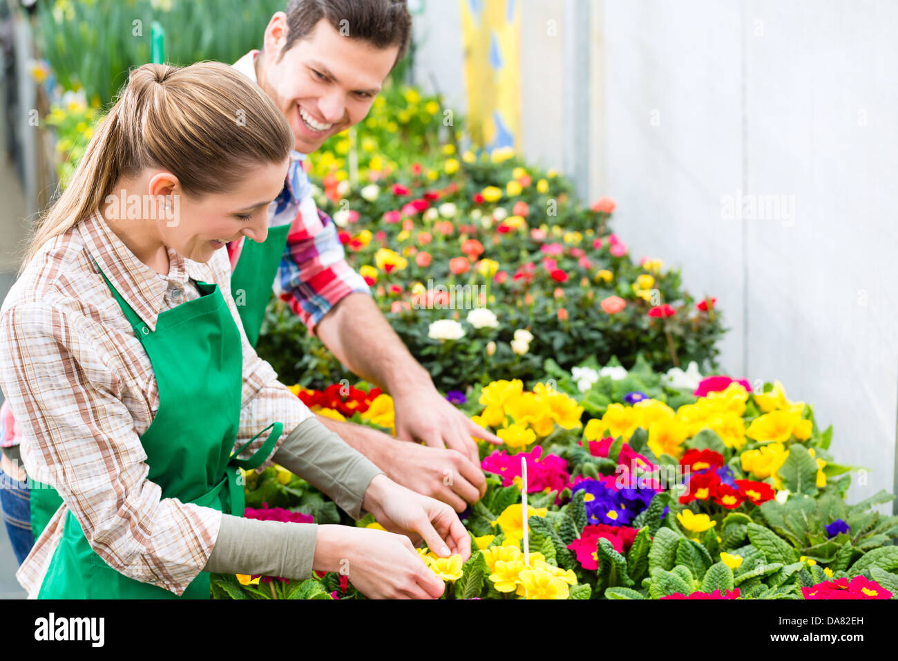Gardeners gardening hi-res stock photography and images - Alamy