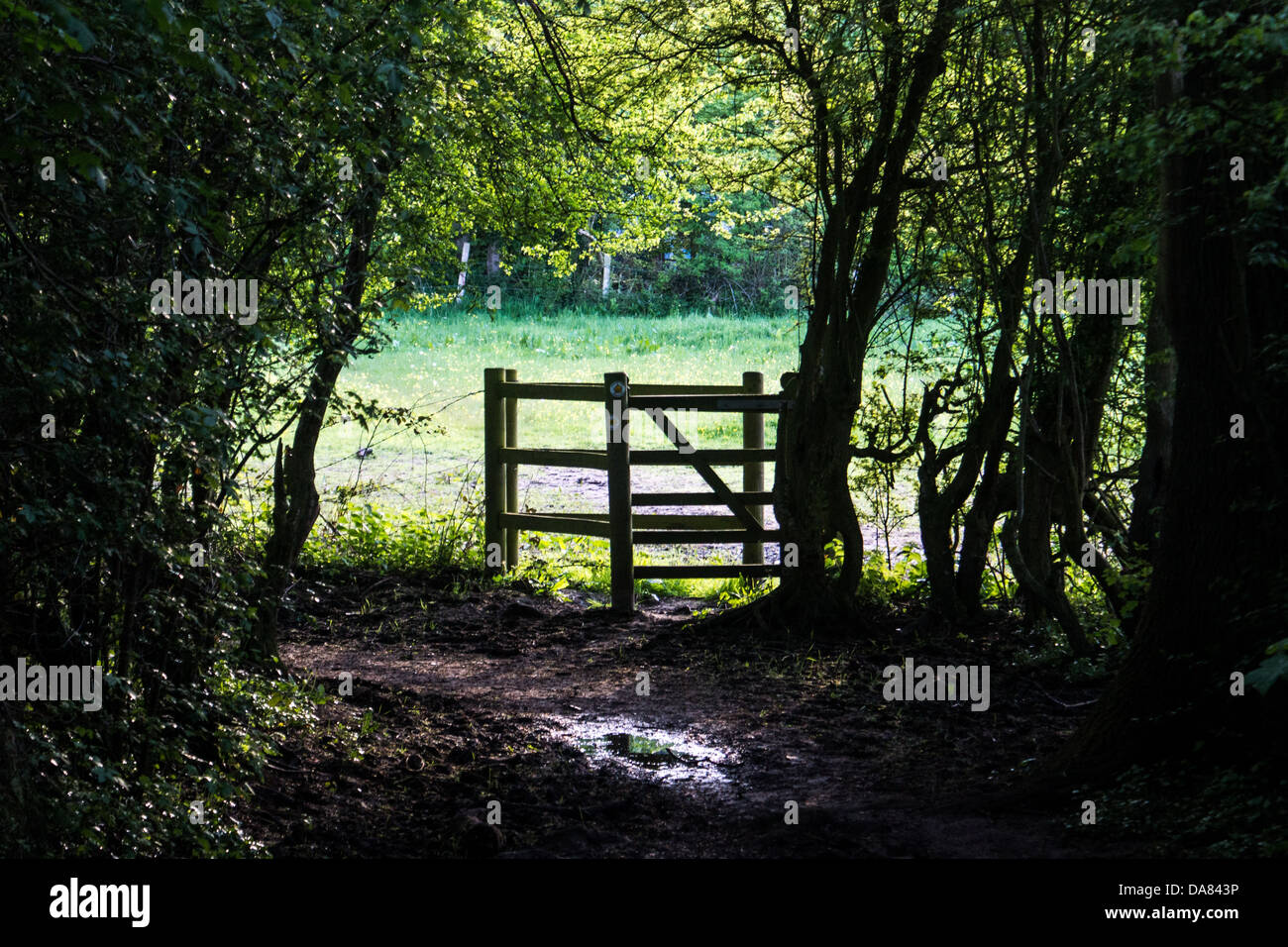 Kissing Gates from a wood to a field Stock Photo - Alamy