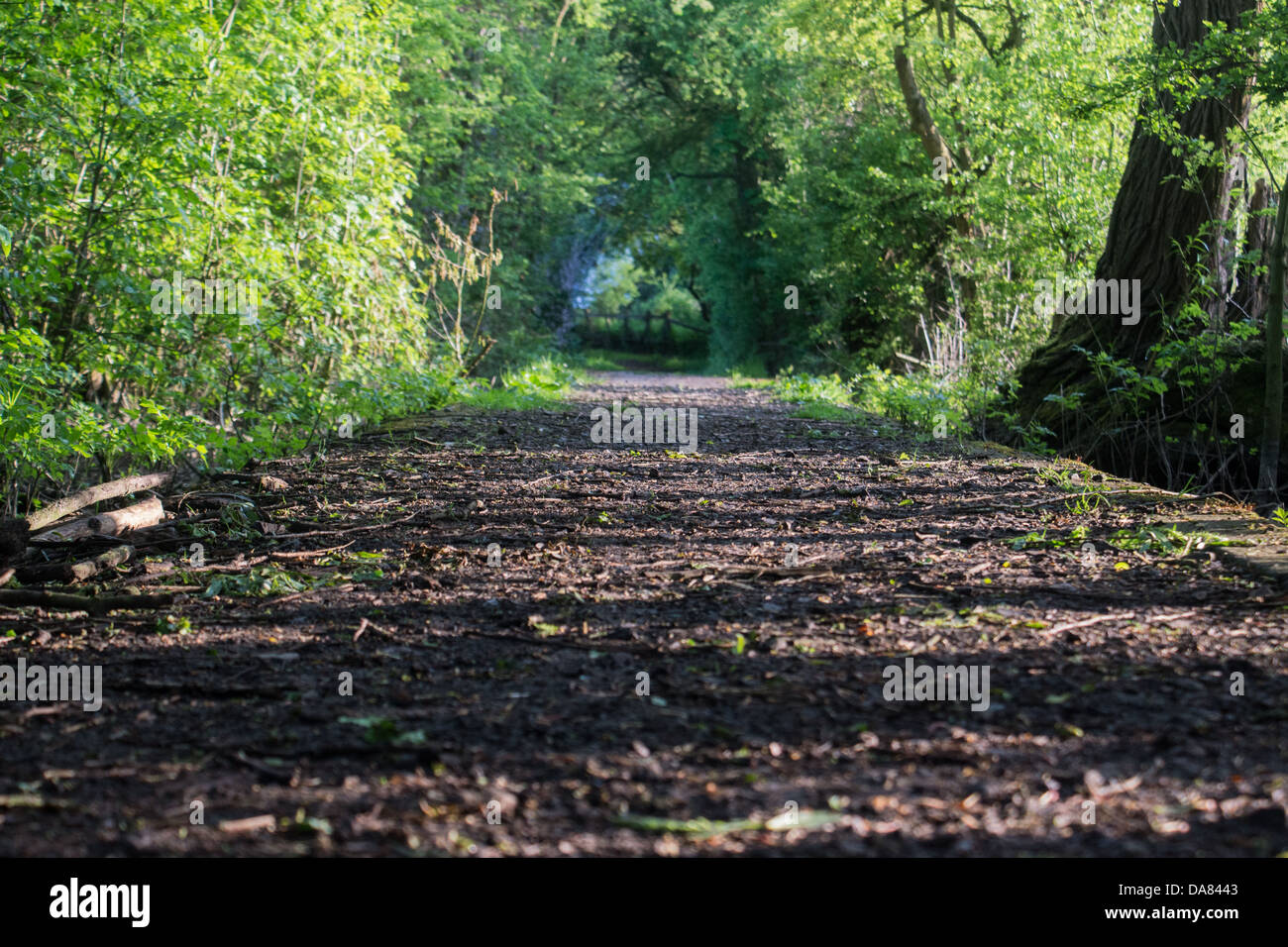 Lined tunnel hi-res stock photography and images - Alamy
