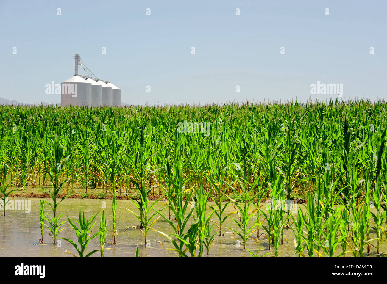 Corn silos hi-res stock photography and images - Alamy