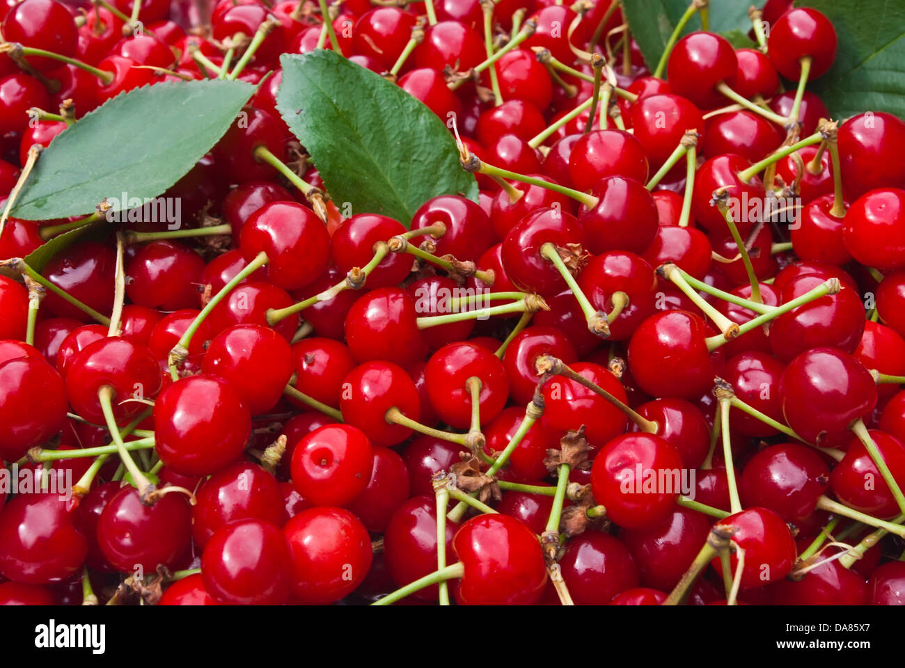 Sweet red cherries, closeup view Stock Photo - Alamy