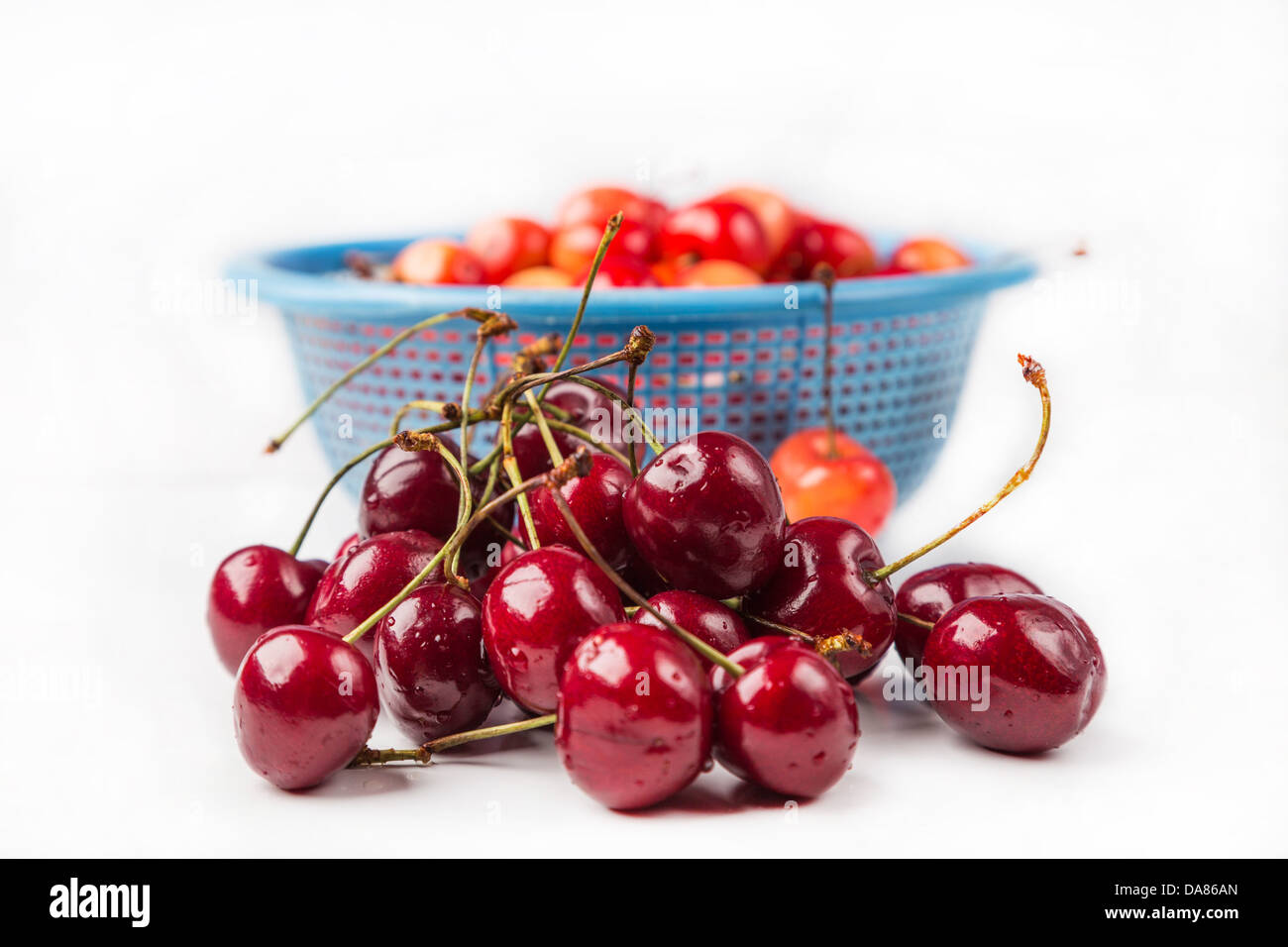 fresh cherry with drops the water in blue colander Stock Photo - Alamy