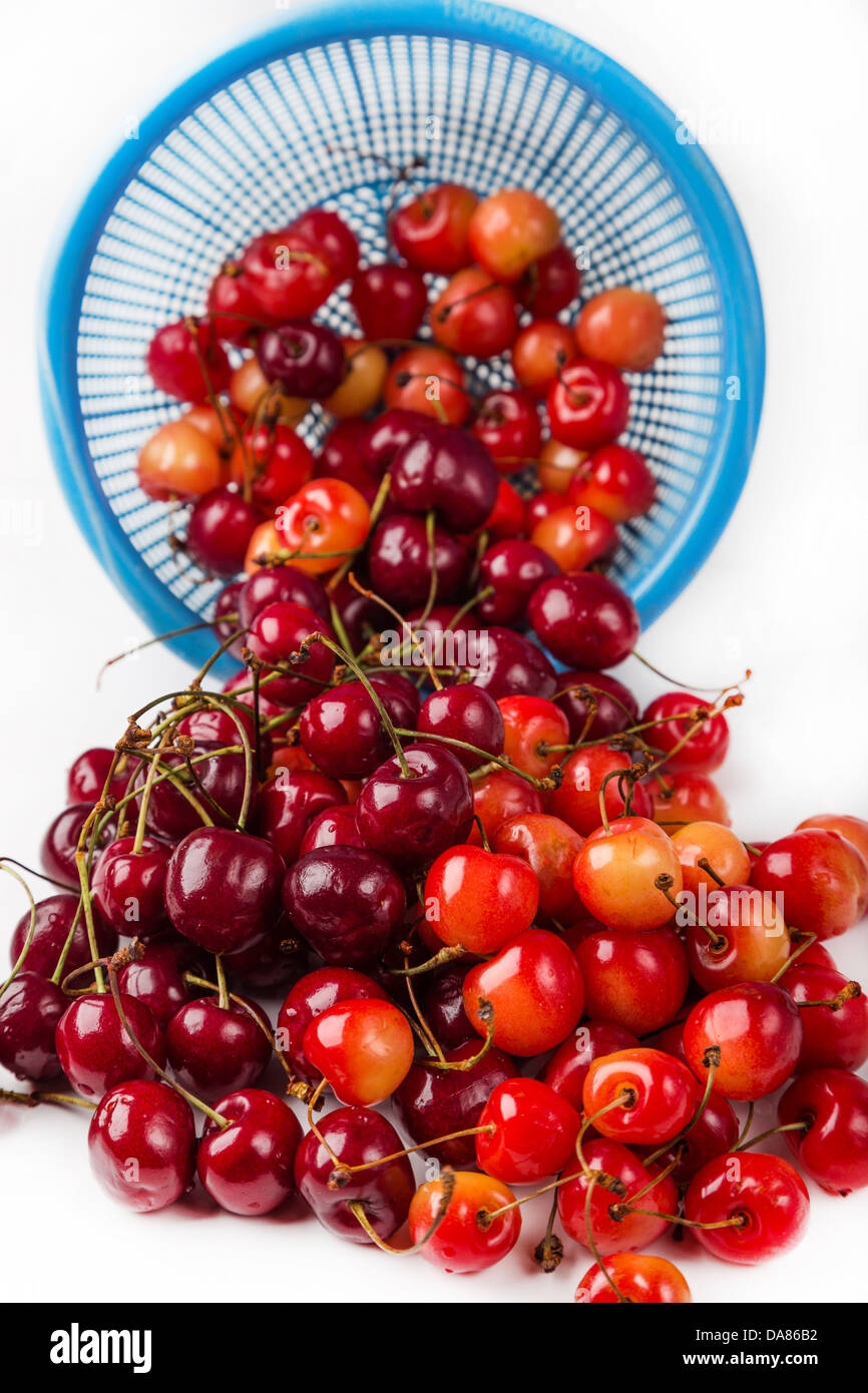 fresh cherry with drops the water in blue colander Stock Photo - Alamy