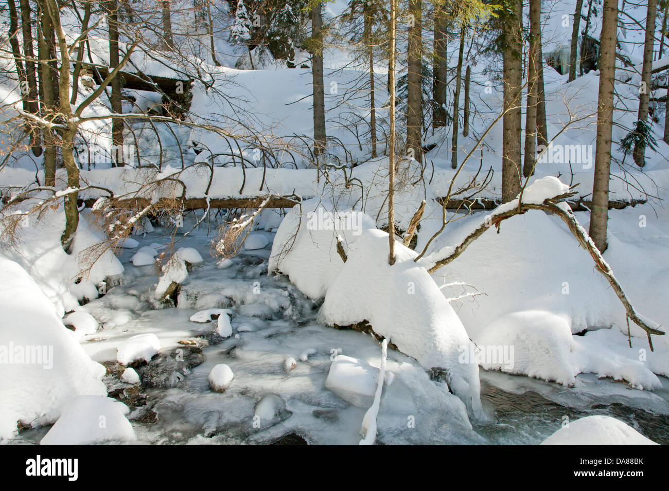 Nearly natural stream, Germany Stock Photo - Alamy