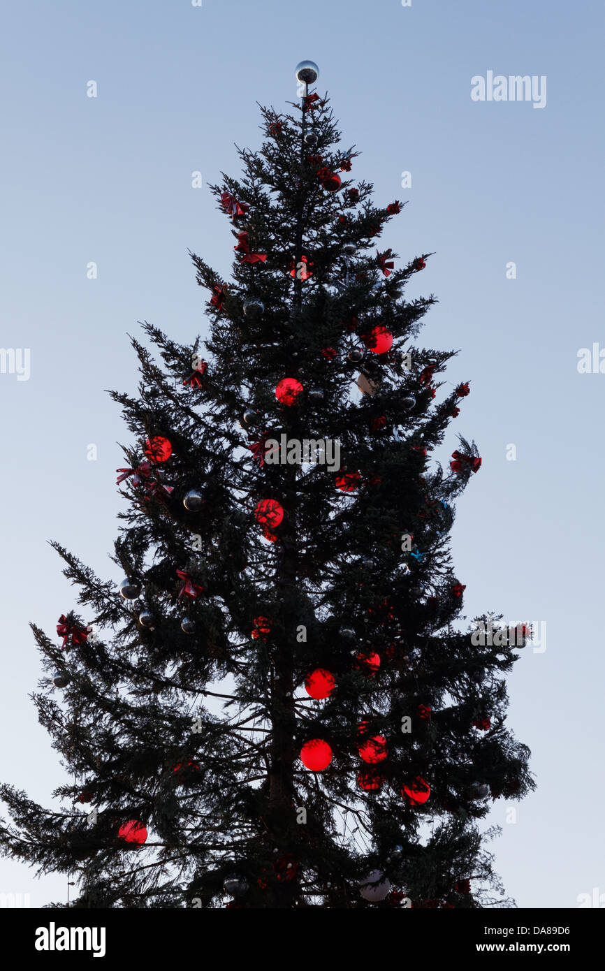 Paris christmas tree hi-res stock photography and images - Alamy