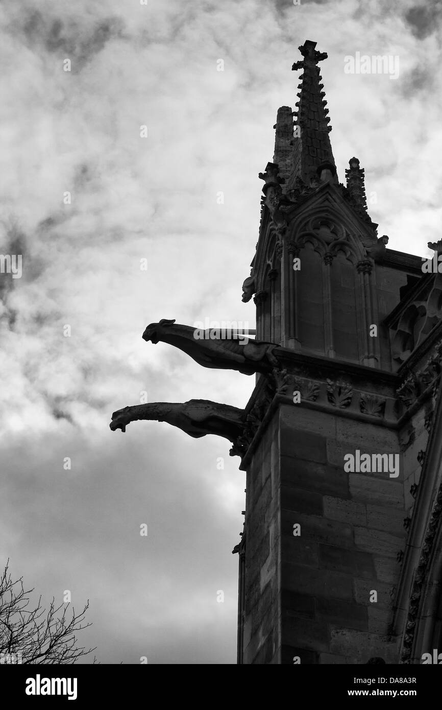 Gargoyle, Notre Dame cathedral, Paris. France Stock Photo - Alamy