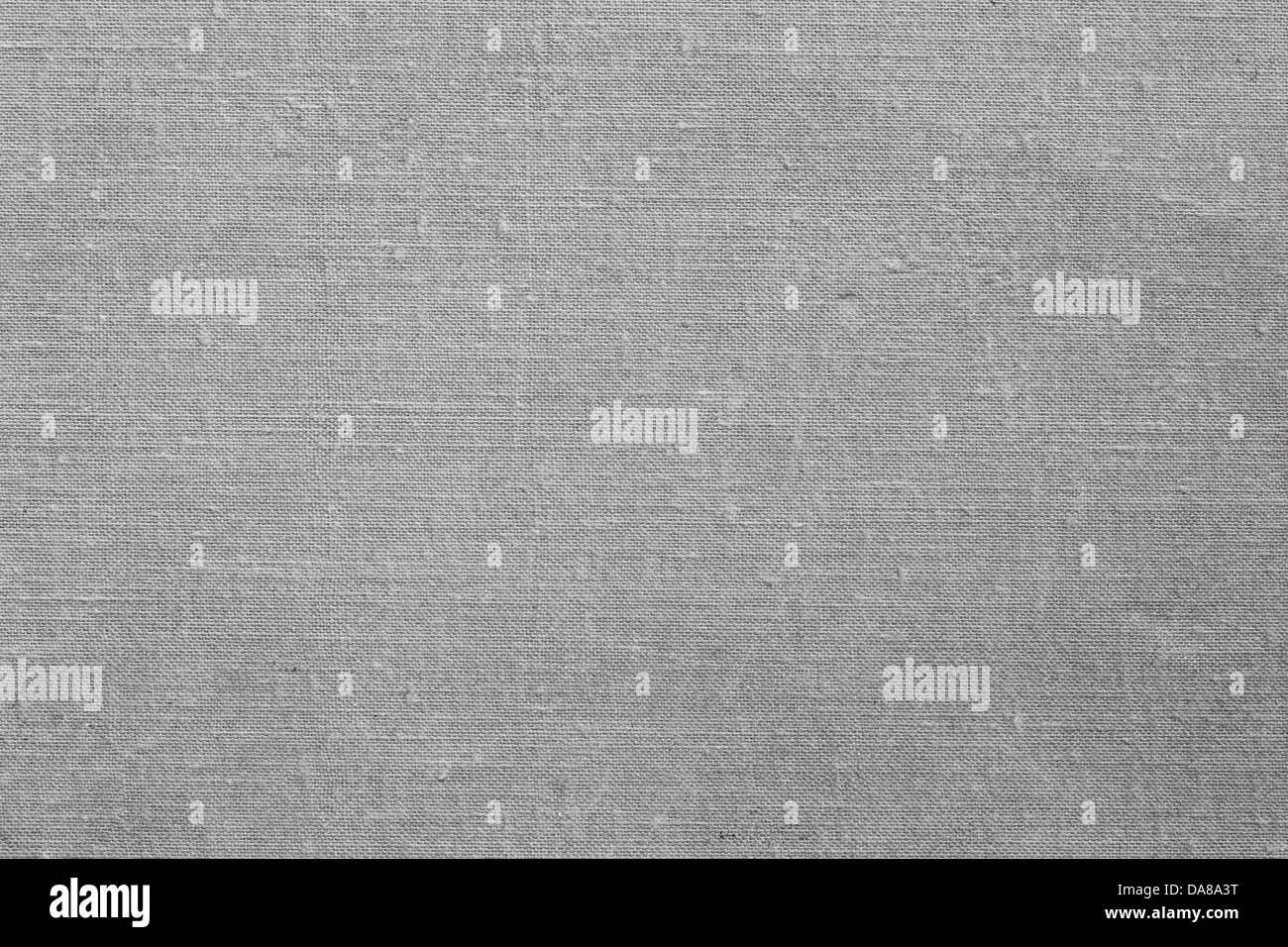 Light Gray Fabric Texture