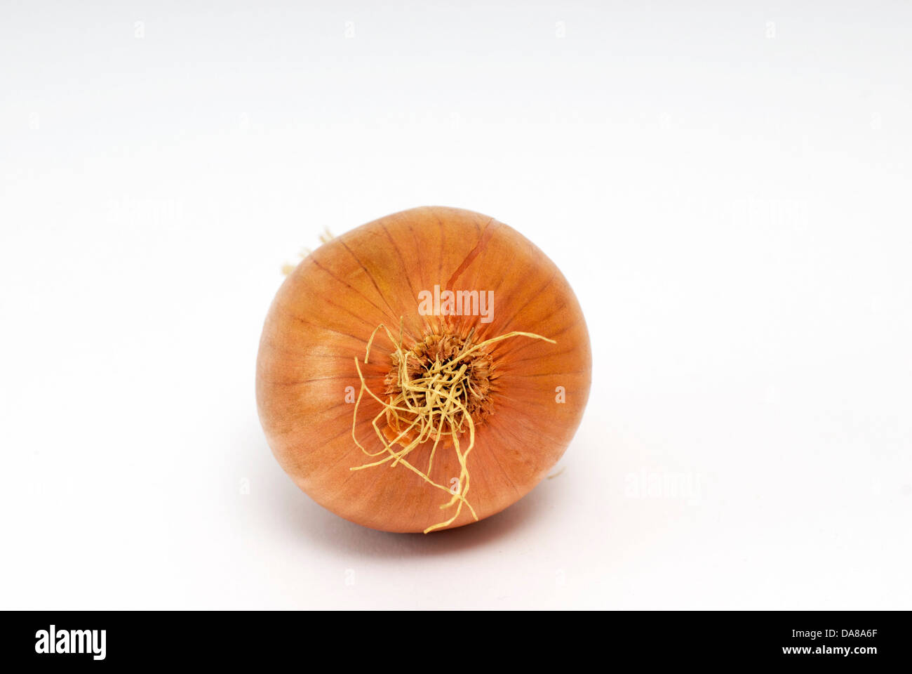 Kitchen onion hi-res stock photography and images - Alamy