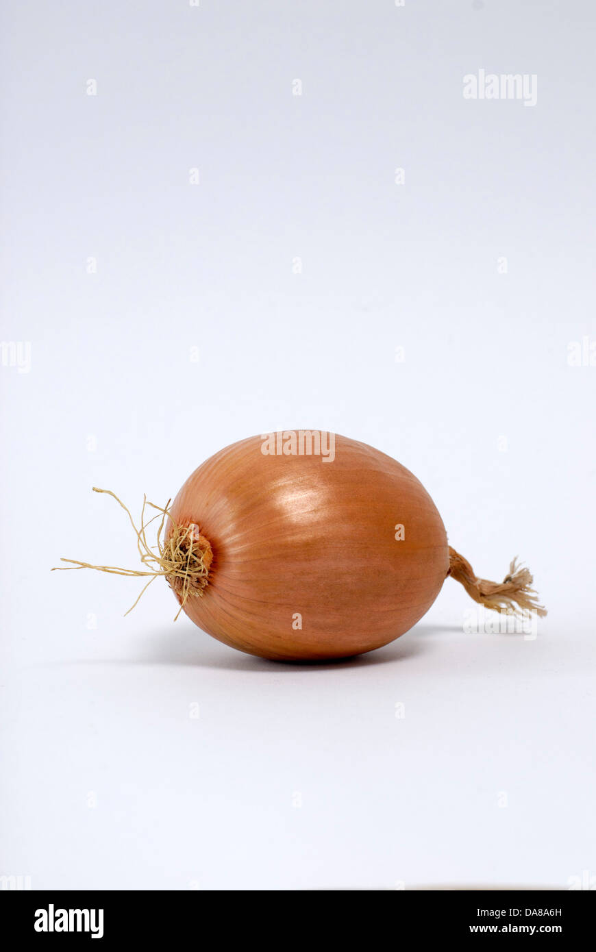 Kitchen onion hi-res stock photography and images - Alamy