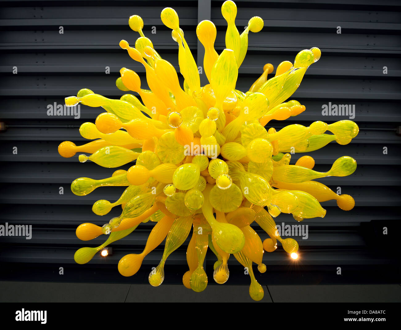 Chihuly garden and glass hi-res stock photography and images - Alamy