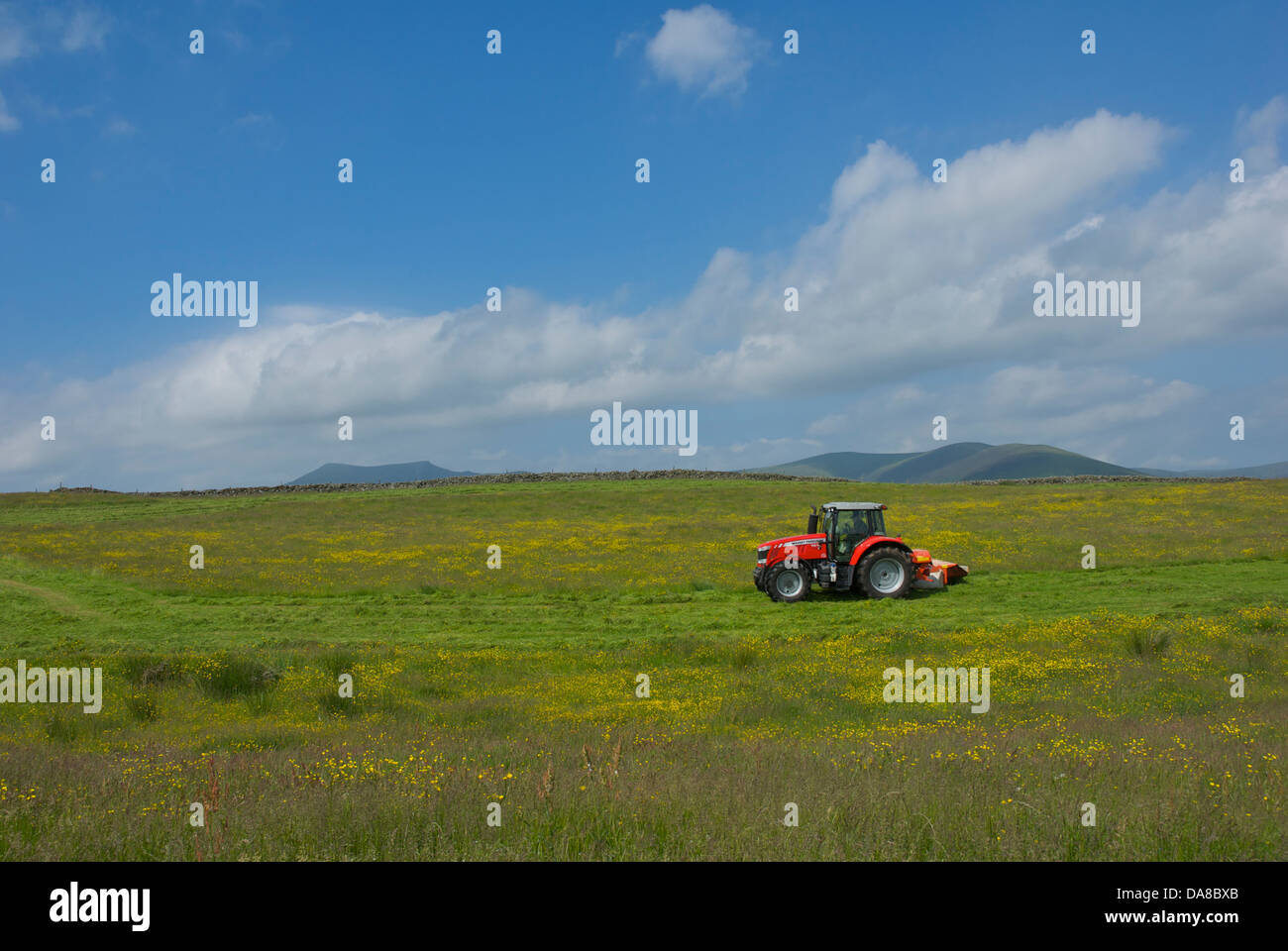Hay making haymaking hi-res stock photography and images - Alamy
