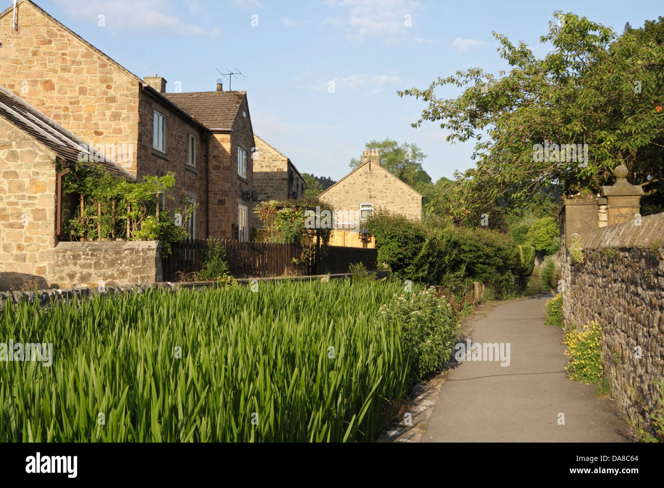 Stream reeds hi-res stock photography and images - Alamy
