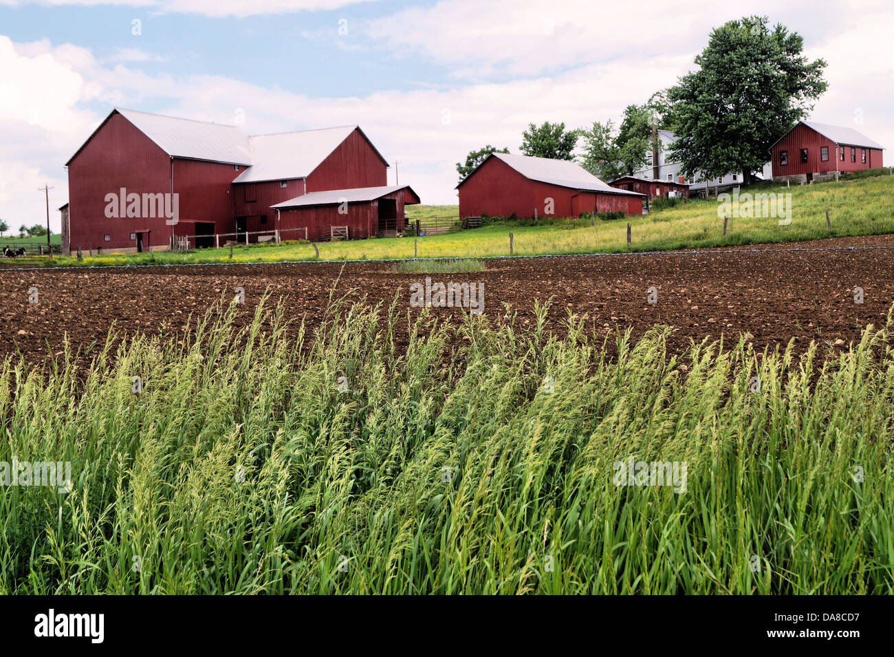 Red barns in country Stock Photo - Alamy